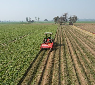 Plant Topper – shaktiman-grimme.com